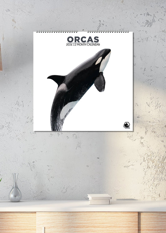 Orca Kalender 2026: Ontdek de Magie van Orca's