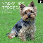 Comprar Calendario Yorkshire Terrier 2026 | simplemente haga su pedido ...